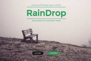 20+ Best Free Landing Page WordPress Themes 2021 | InkThemes