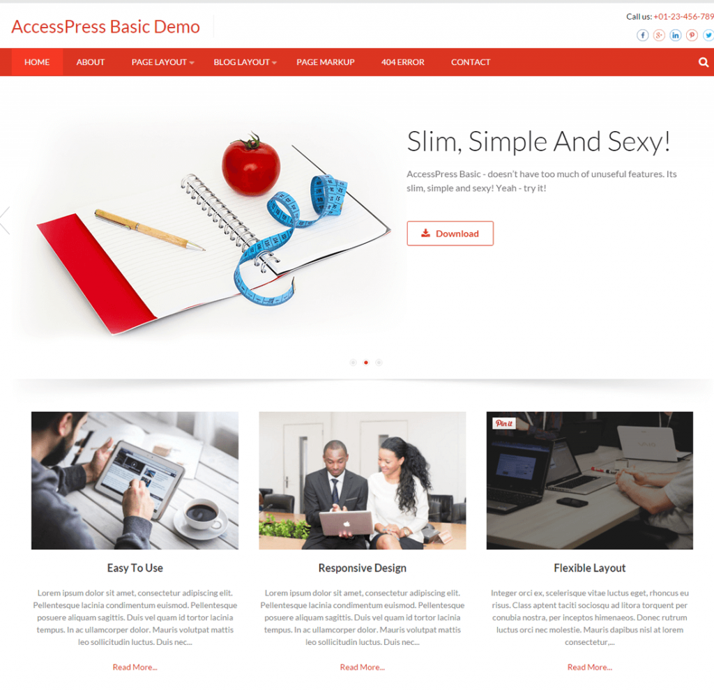 10+ Best Free Responsive WordPress Themes| InkThemes