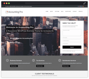 10+ Best Accountant WordPress Themes 2022 [Free Bonus]