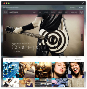20+ Best Music WordPress Themes For Bands, Musicians 2022