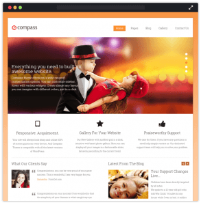 12+ Best Bootstrap WordPress Themes 2022 | InkThemes