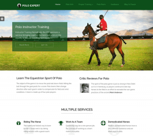 40+ Best Free Sports WordPress Themes 2022 | InkThemes