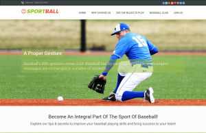 40+ Best Free Sports WordPress Themes 2022 | InkThemes