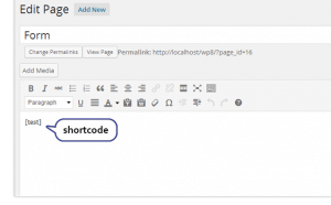 How To Create Shortcodes in WordPress Plugin | InkThemes