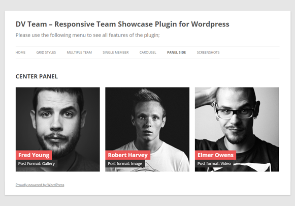 DV Team - Responsive Team Showcase Wordpress Plugin