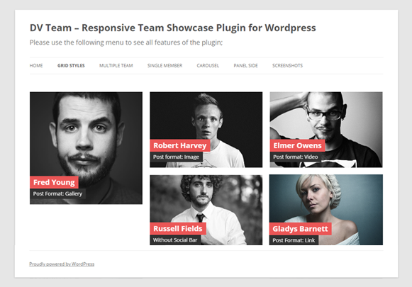 DV Team - Responsive Team Showcase Wordpress Plugin