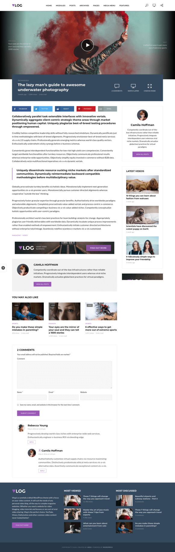 Vlog- Video Blog/Magazine WordPress Theme | InkThemes
