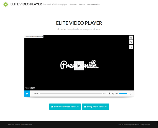 Elite - Video Player WordPress Plugin | InkThemes
