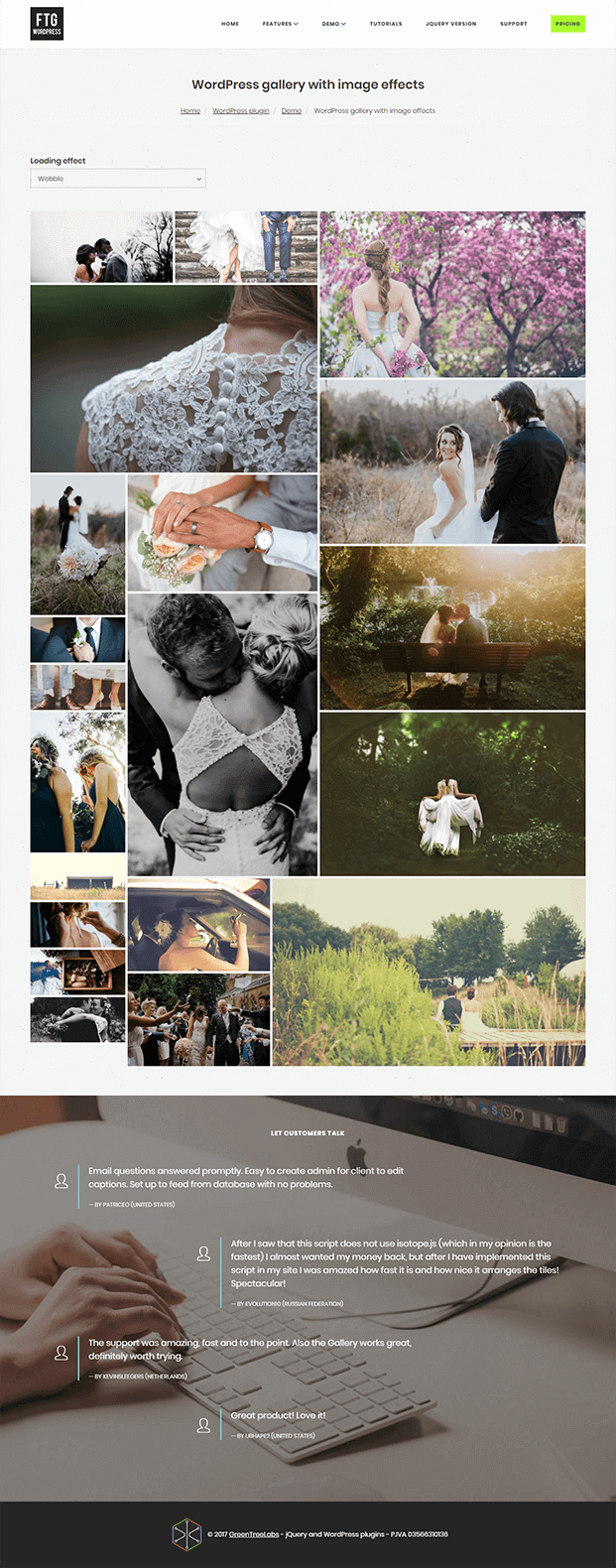 Final Tiles Gallery WordPress Plugin | InkThemes
