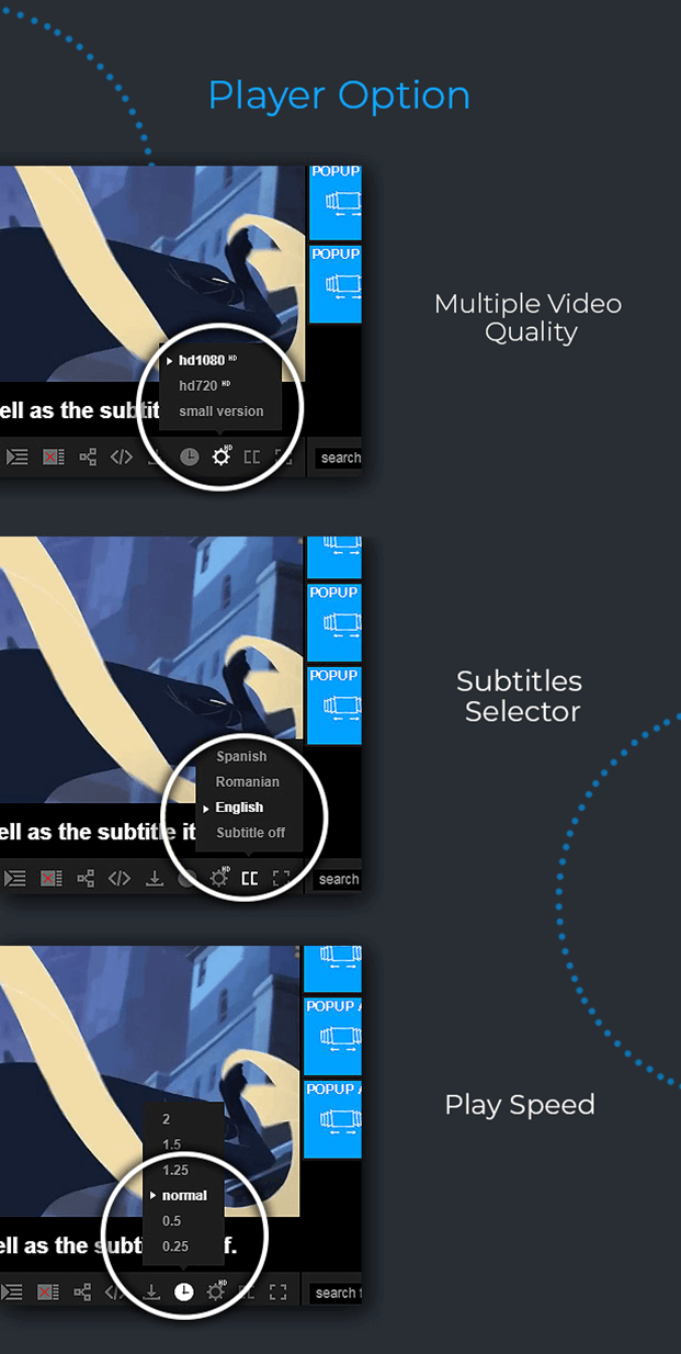 Ultimate Video Player Wordpress Plugin | InkThemes