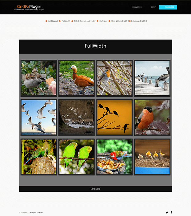 Grid FX - Best WordPress Grid Plugin | InkThemes