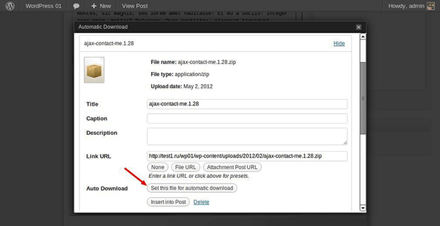 Automatic Download WordPress Plugin | InkThemes