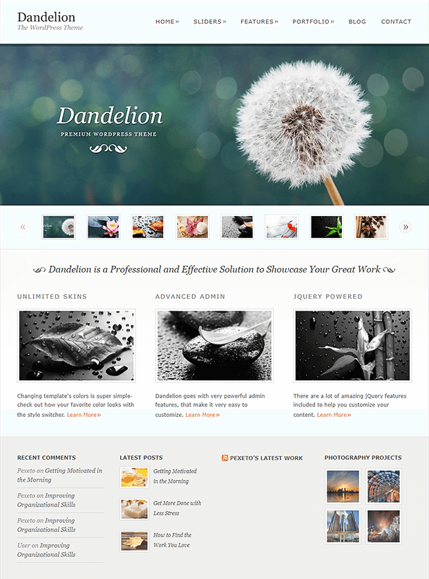 Dandelion - Elegant WordPress Theme For Professionals | InkThemes