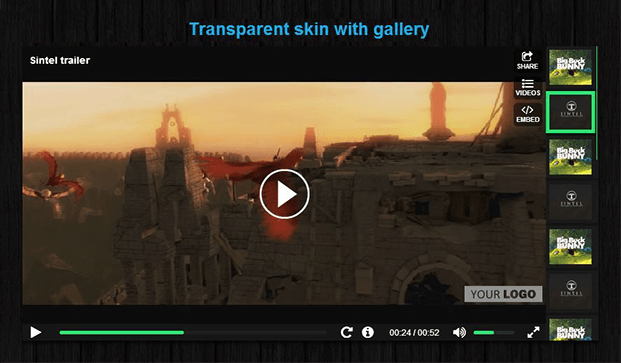 Ultimate Video Player WordPress Plugin | InkThemes