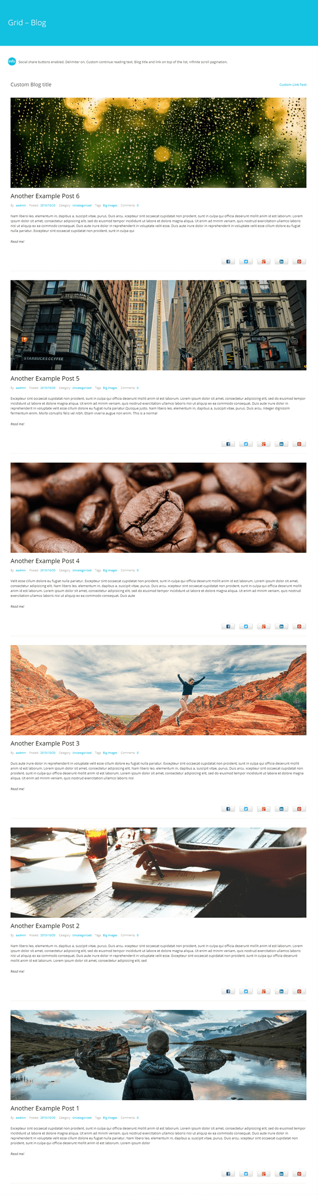 Blog Manager - A WordPress Blog Designing Plugin | InkThemes