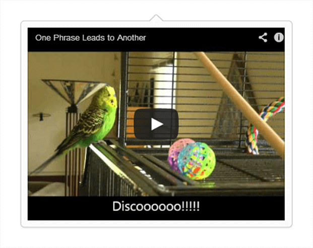 Content Tooltip & Image Hover WordPress Plugin | InkThemes