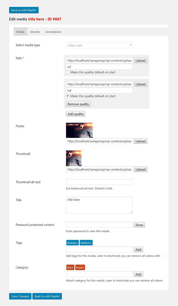 Modern Video Player - WordPress Custom Gallery Plugin | InkThemes