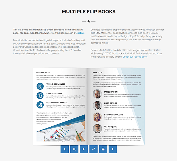 Responsive WordPress FlipBook Plugin | InkThemes