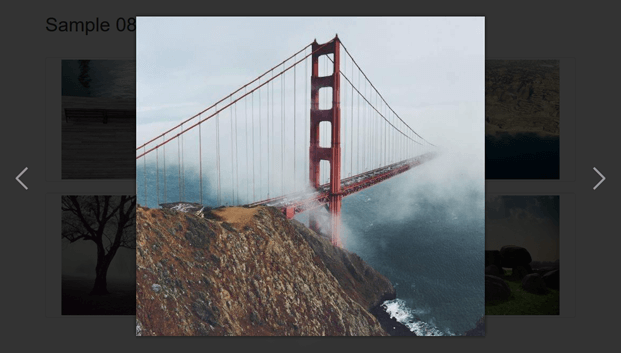 Easy Gallery - Premium PHP Photo Gallery Script | InkThemes