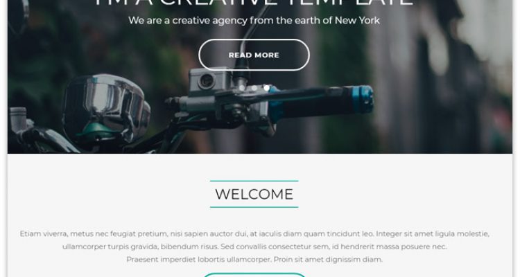 12+ Best Bootstrap WordPress Themes 2018 | InkThemes