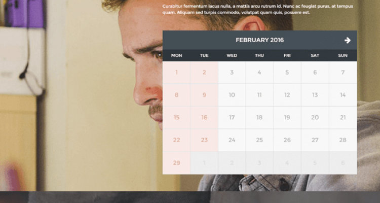 6 Best Appointment Booking WordPress Themes 2018 | InkThemes